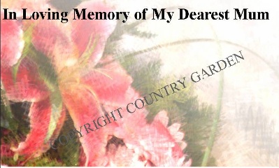 Dearest Mum MUM1 – buy online or call 01296 714211